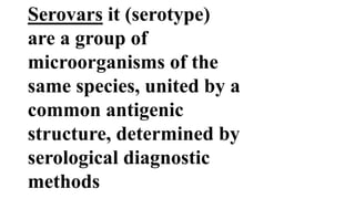 Streptococcus pneumonia | PPT