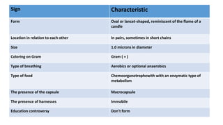 Streptococcus pneumonia | PPTX