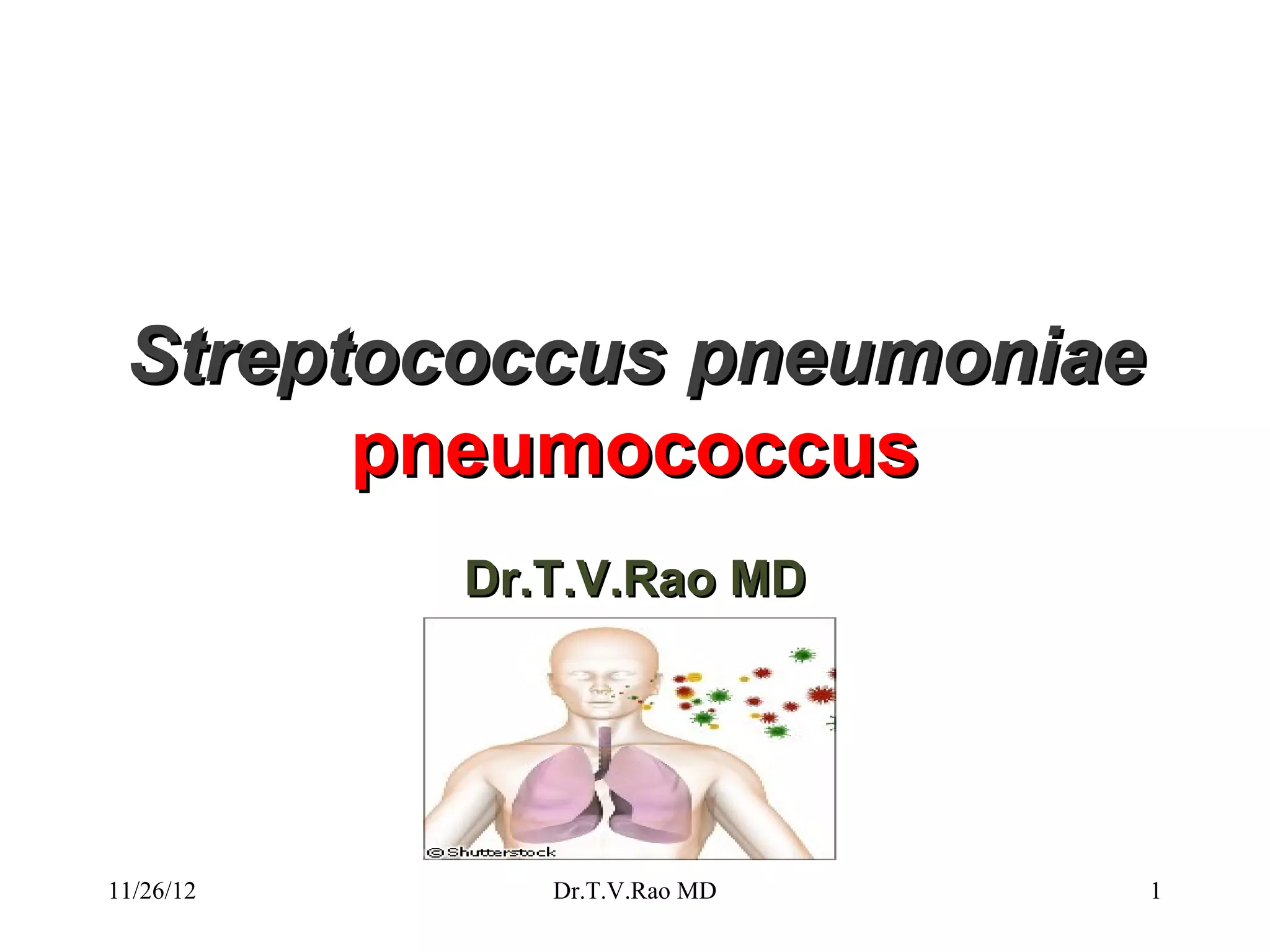Streptococcus pneumoniae | PPT