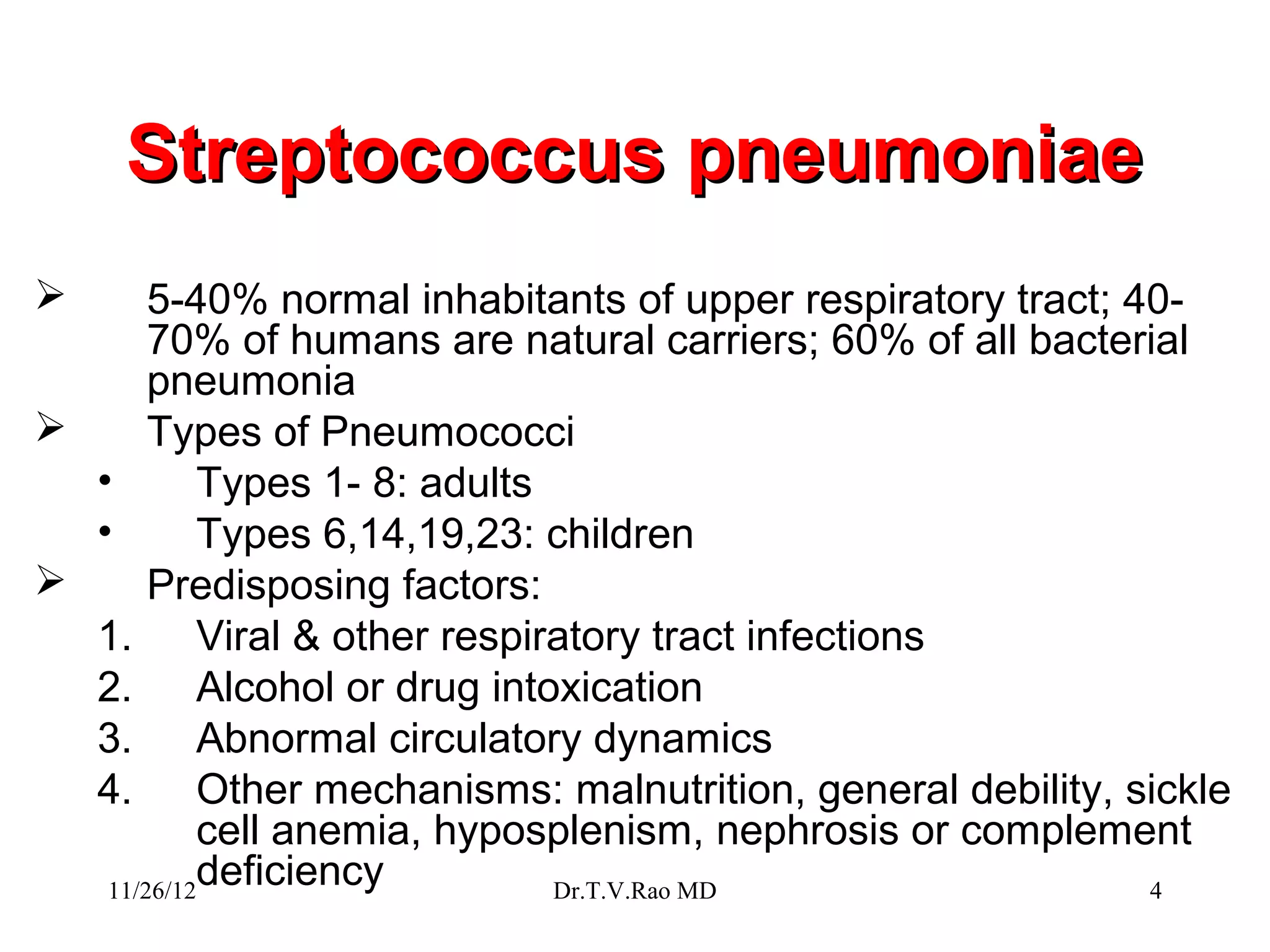 Streptococcus pneumoniae | PPT