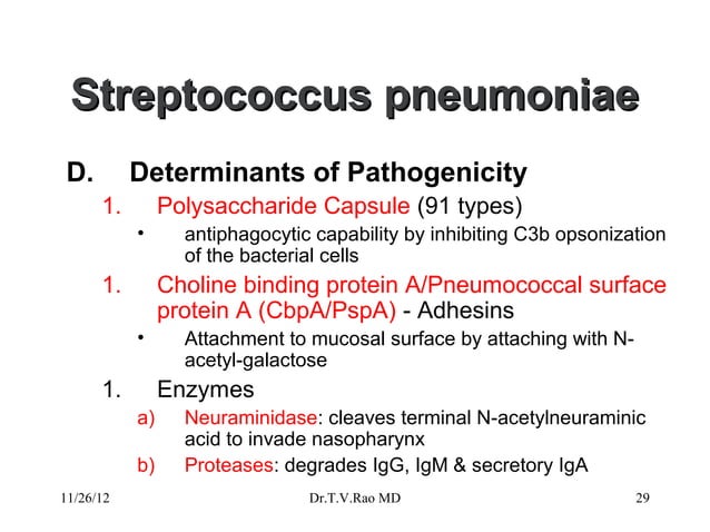 Streptococcus pneumoniae | PPT
