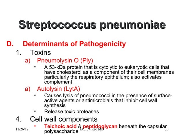 Streptococcus pneumoniae | PPT