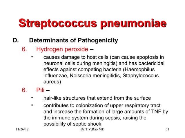 Streptococcus pneumoniae | PPT