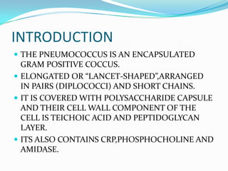 Streptococcus pneumoniae | PPTX