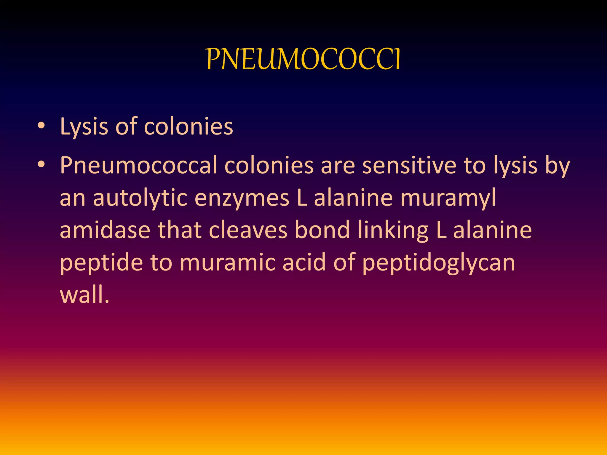 Streptococcus pneumoniae | PPTX
