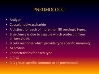 Streptococcus pneumoniae | PPTX