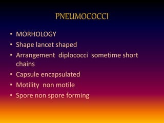 Streptococcus pneumoniae | PPTX