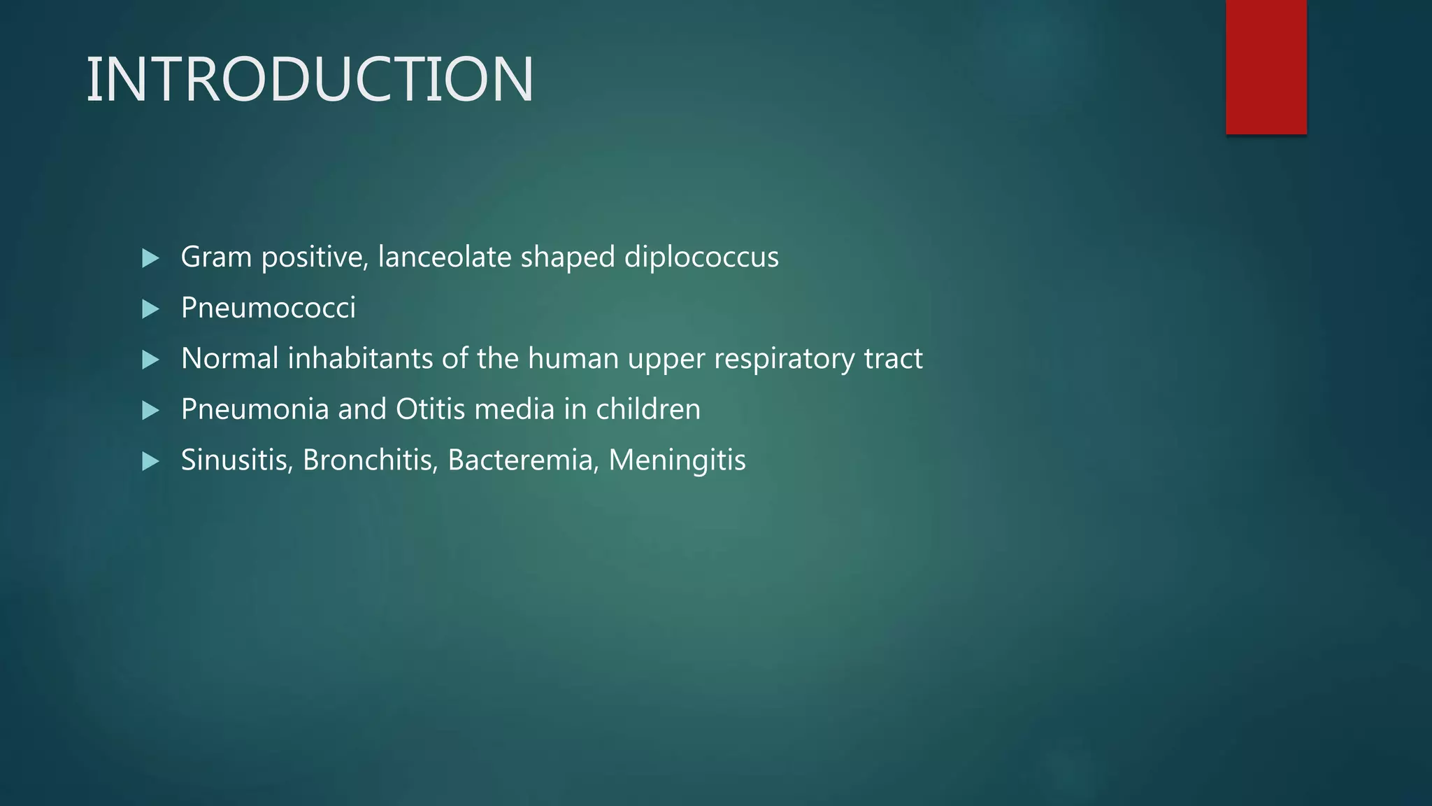 Streptococcus pneumoniae | PPTX