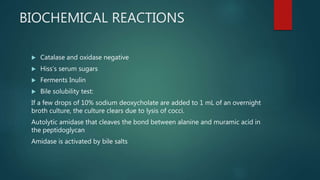 Streptococcus pneumoniae | PPTX