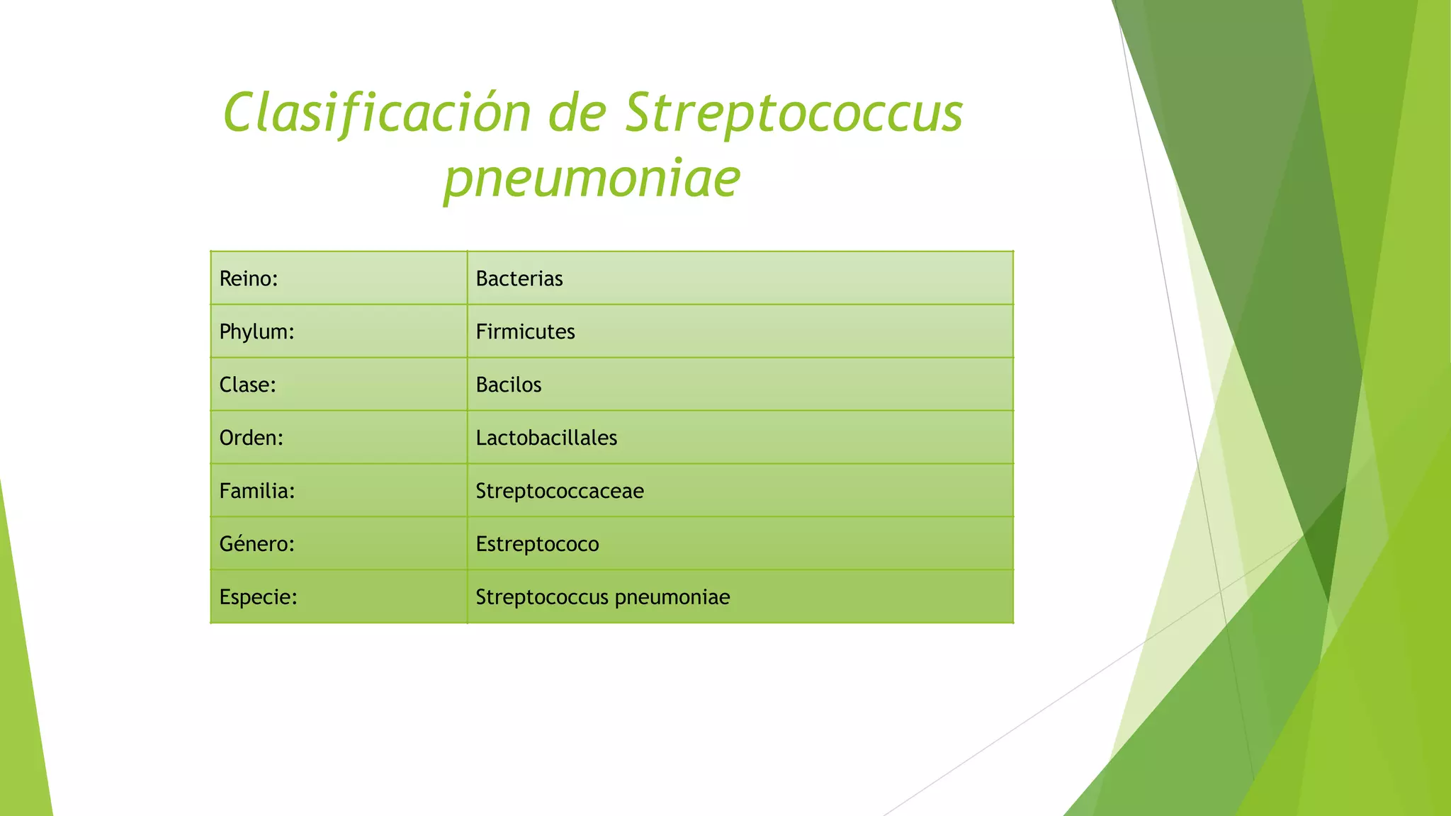 Streptococcus pneumoniae | PPTX