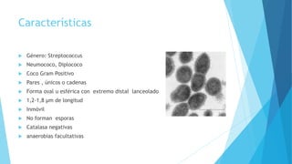 Streptococcus pneumoniae | PPTX