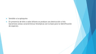 Streptococcus pneumoniae | PPTX