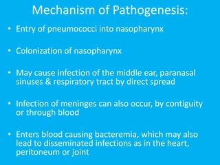 Streptococcus pneumoniae by Dr. Rakesh Prasad Sah | PPT