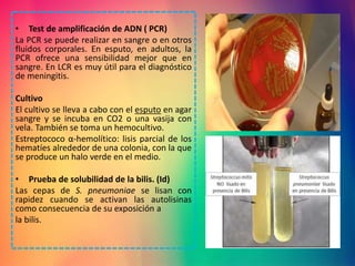 Streptococcus pneumoniae | PPTX