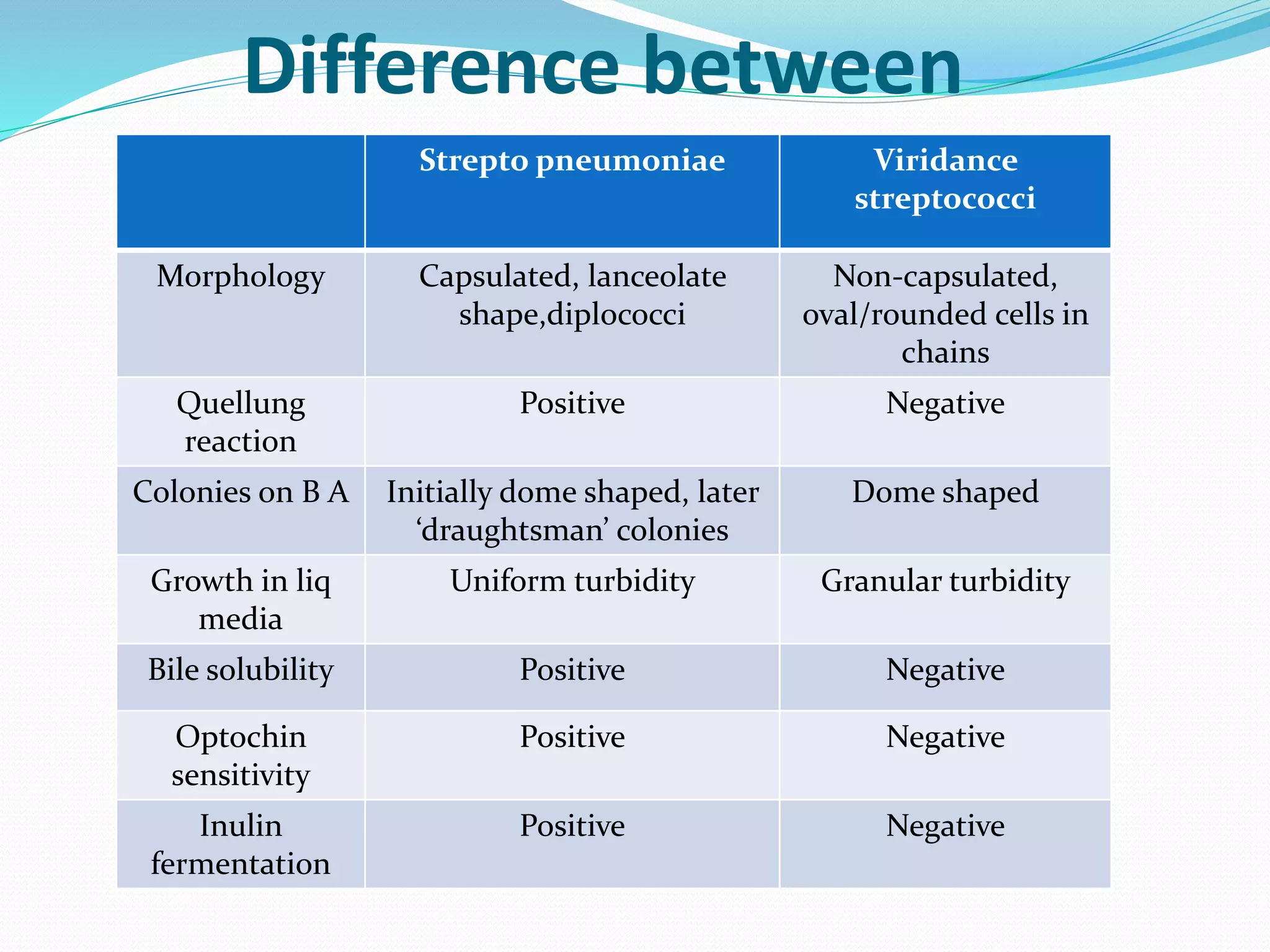 Streptococcus pneumoniae | PPTX