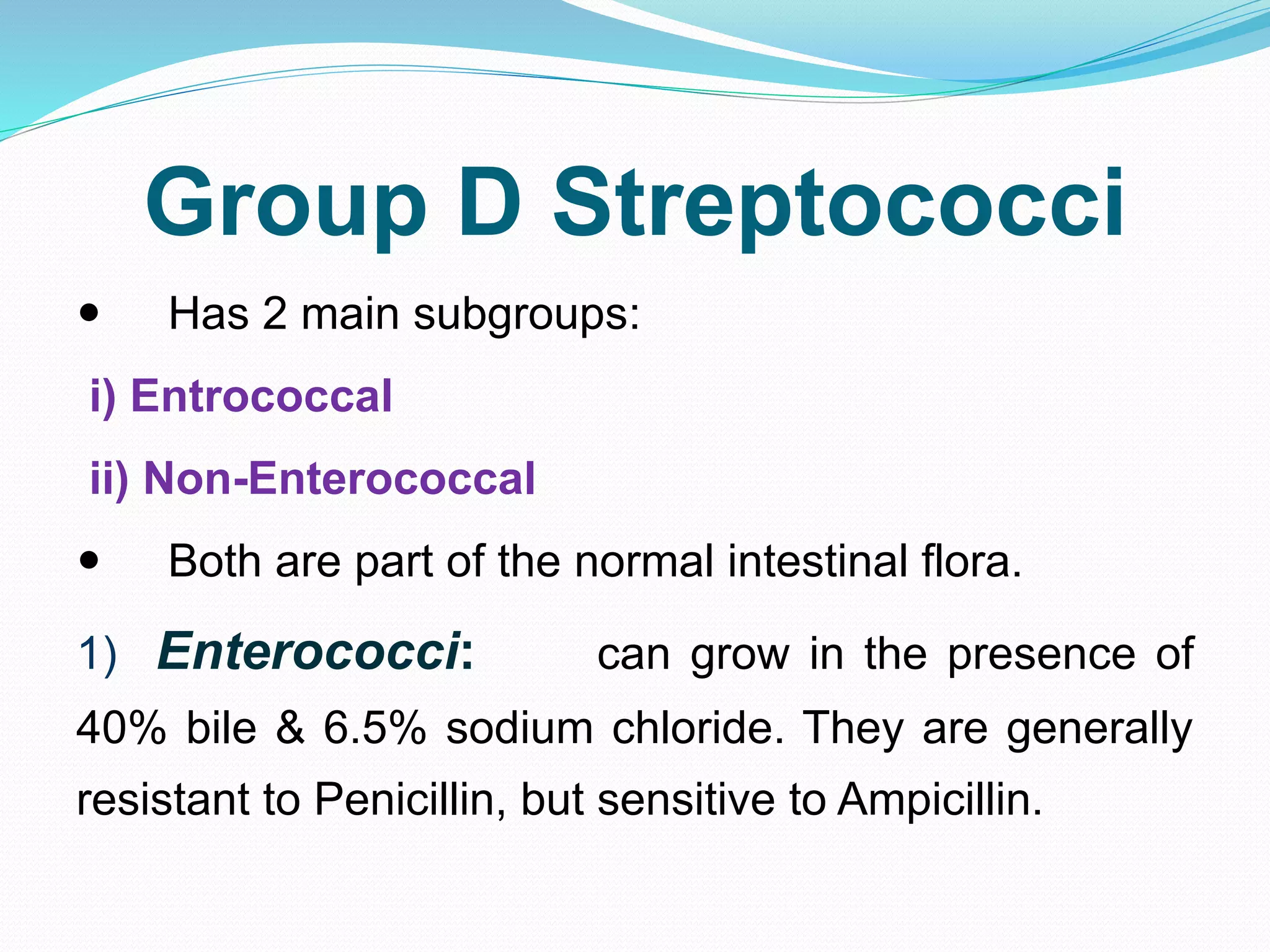Streptococcus pneumoniae | PPTX