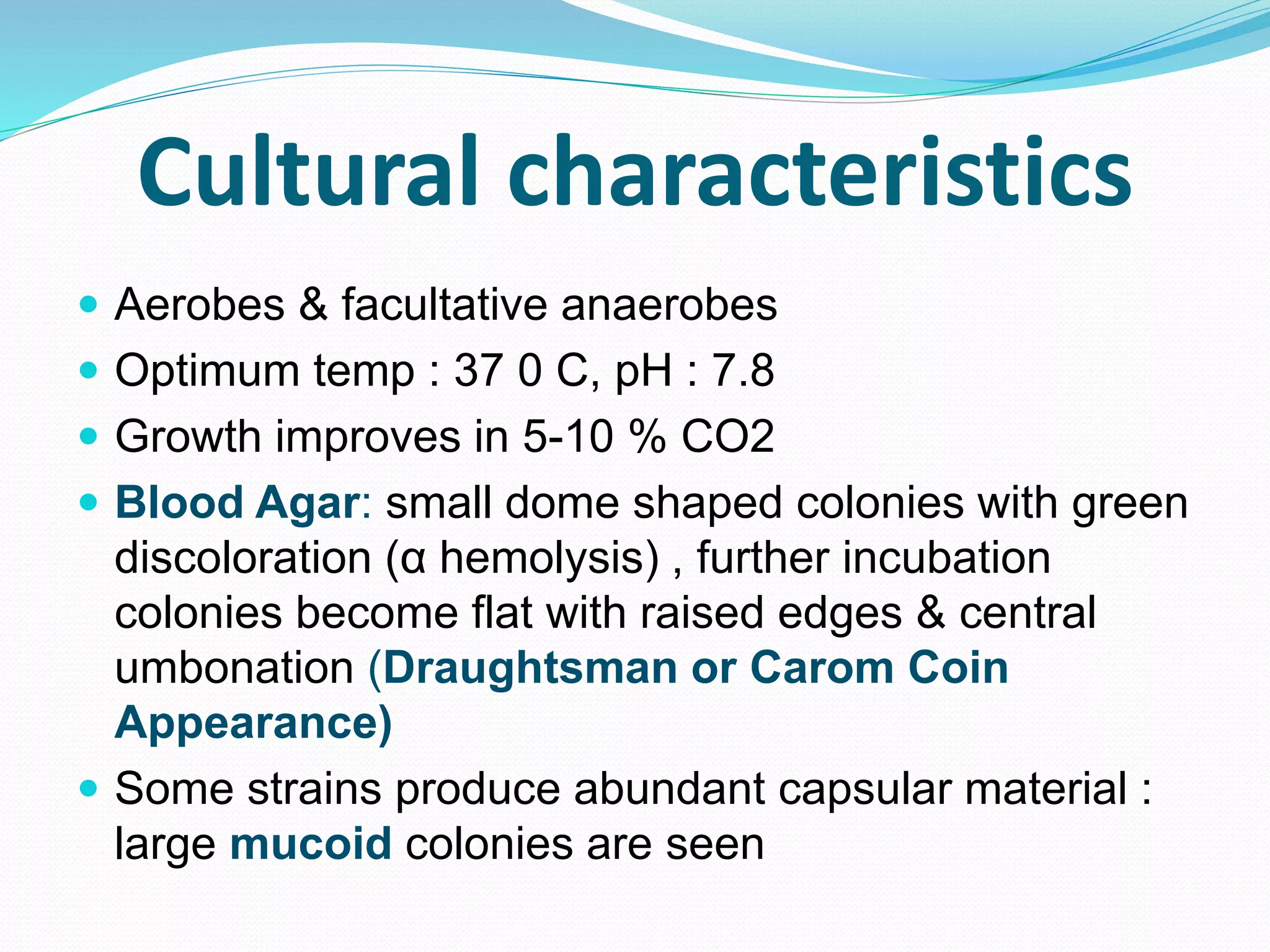 Streptococcus pneumoniae | PPTX