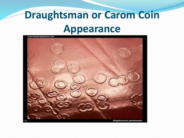 Streptococcus Pneumoniae Colony Morphology