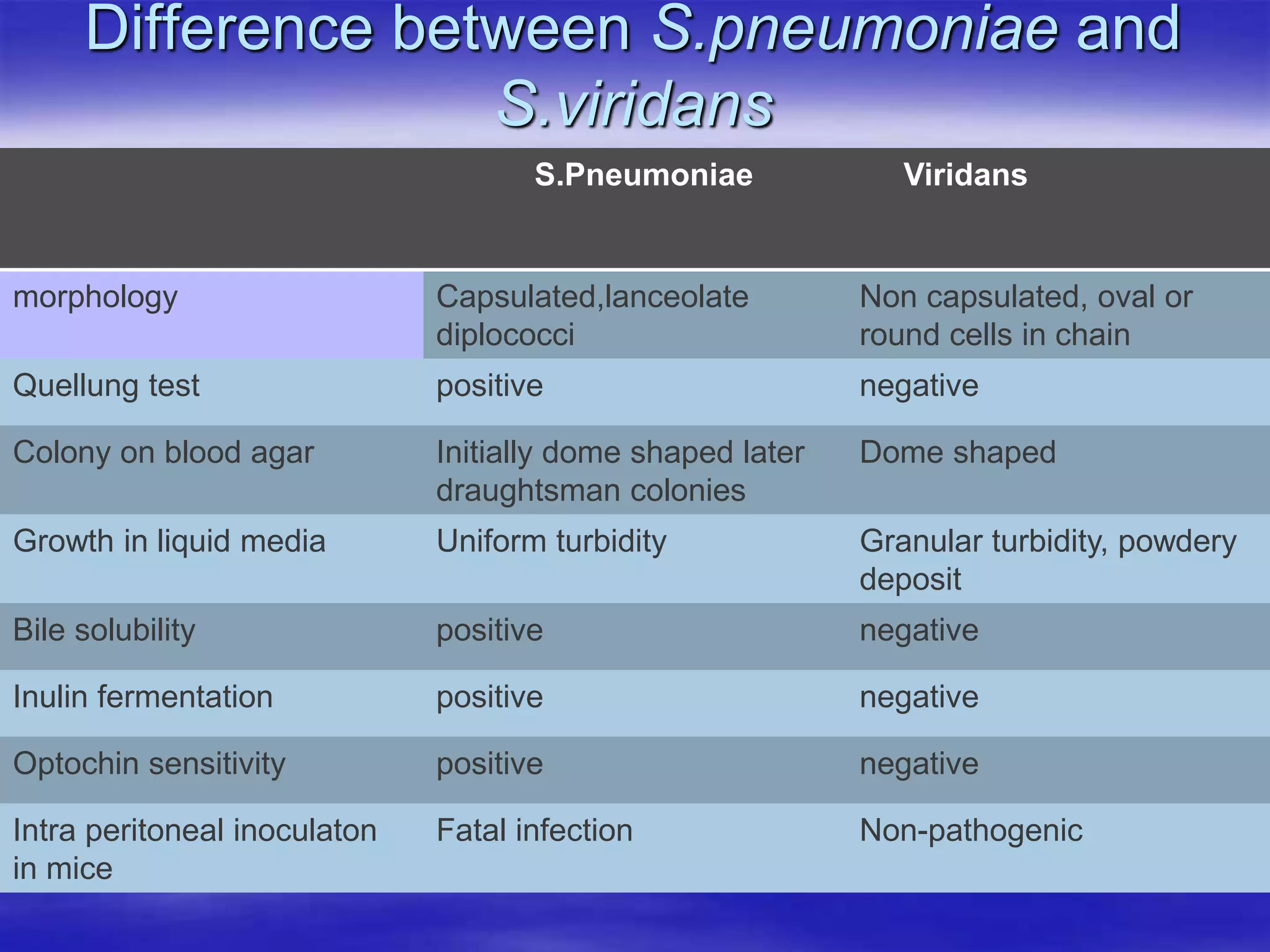 Streptococcus pneumoniae | PPT