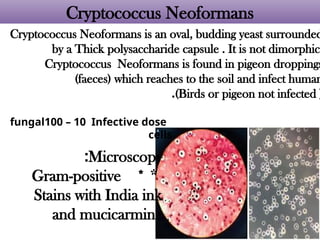 Streptococcus pneumoniae for laboratory students .pptx