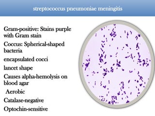 Streptococcus pneumoniae for laboratory students .pptx