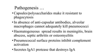 Streptococcus pneumoniae 2013.pptx