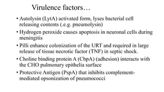 Streptococcus pneumoniae 2013.pptx