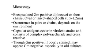Streptococcus pneumoniae 2013.pptx