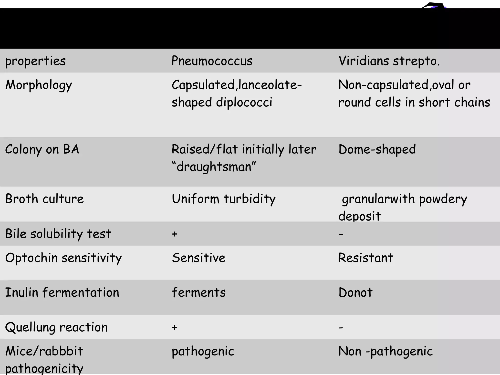Streptococcus pneumoniae mbbs | PPT