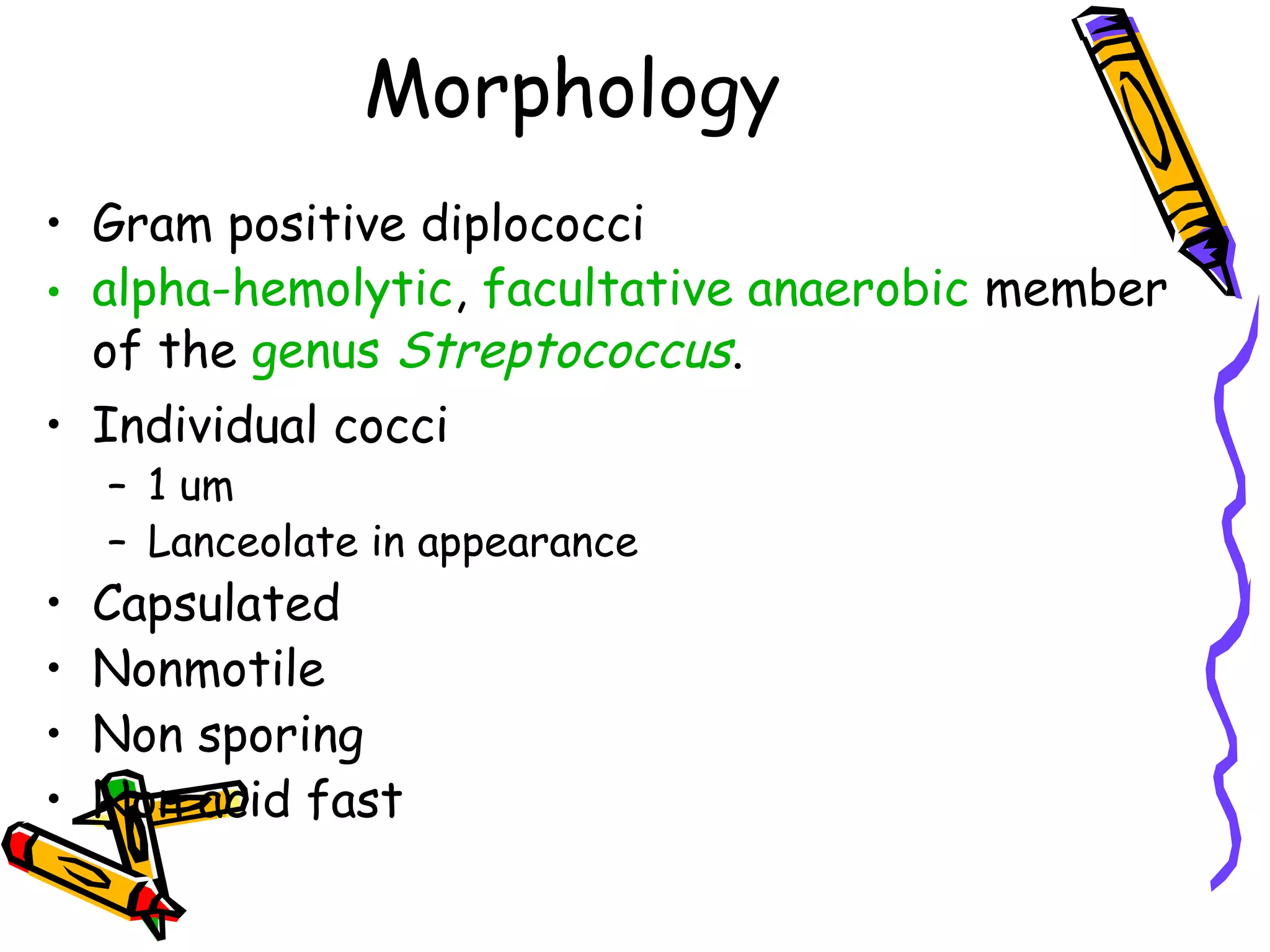 Streptococcus pneumoniae mbbs | PPT