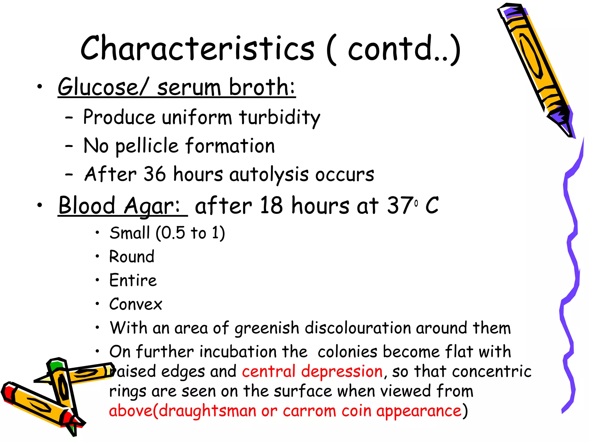 Streptococcus pneumoniae mbbs | PPT