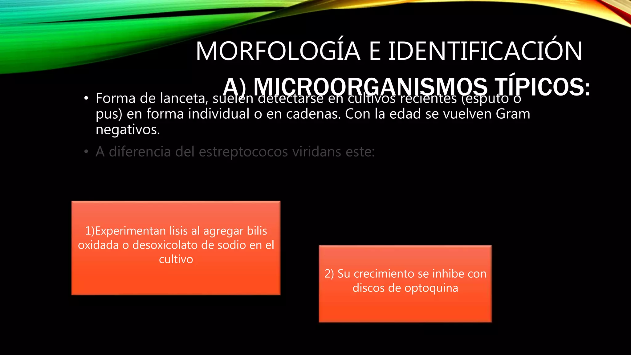 Streptococcus pneumoniae, staphylococcus aureus | PPT
