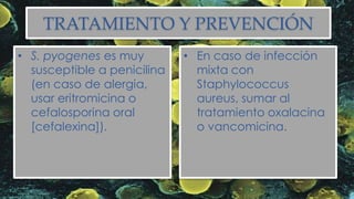 Microbiologia Medica - Streptococcus pyogenes | PPTX