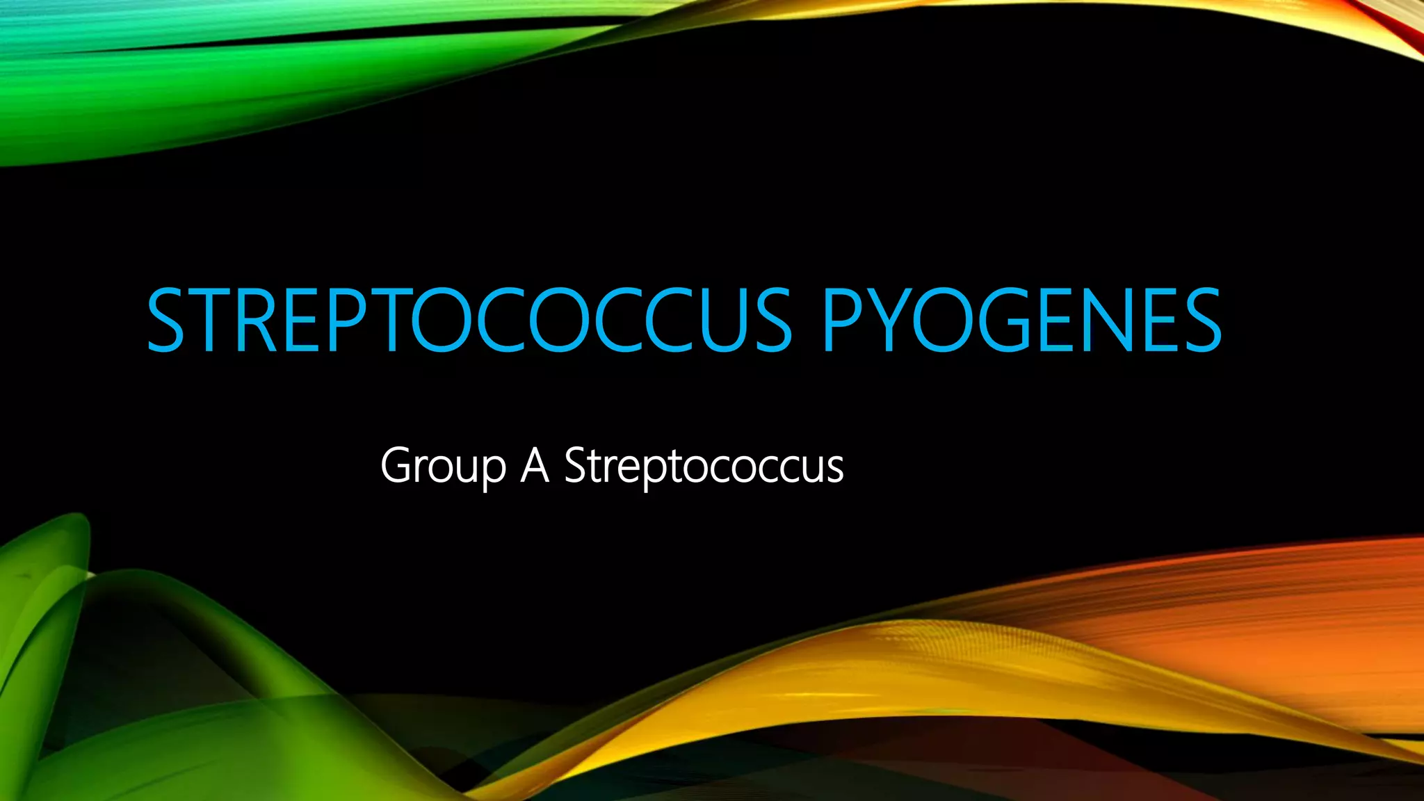 Streptococcus Pyogenes Bacteria Microbiology Lecture | PPTX