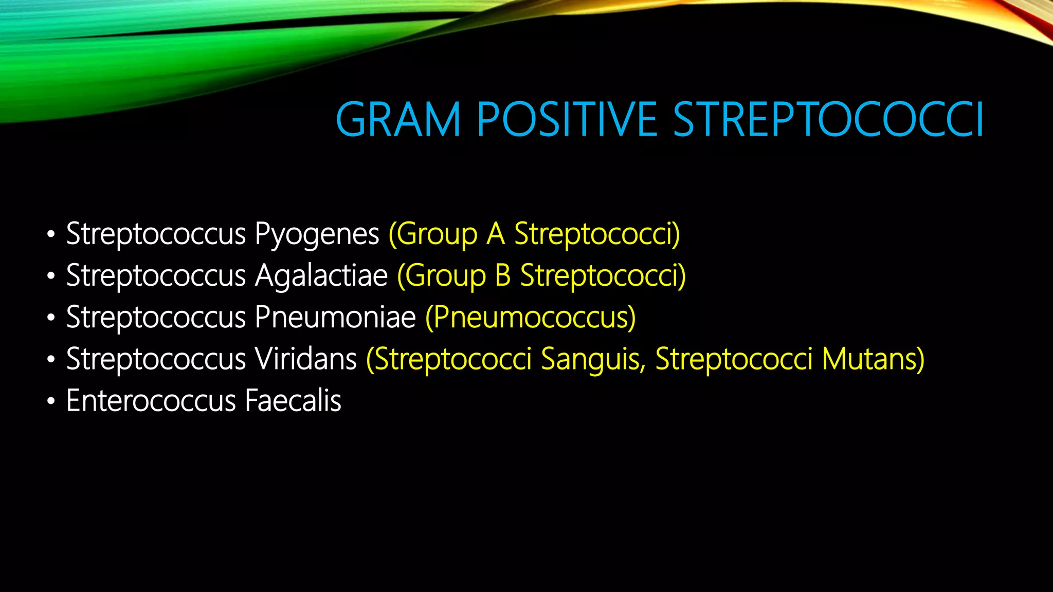 Streptococcus Pyogenes Bacteria Microbiology Lecture Pptx