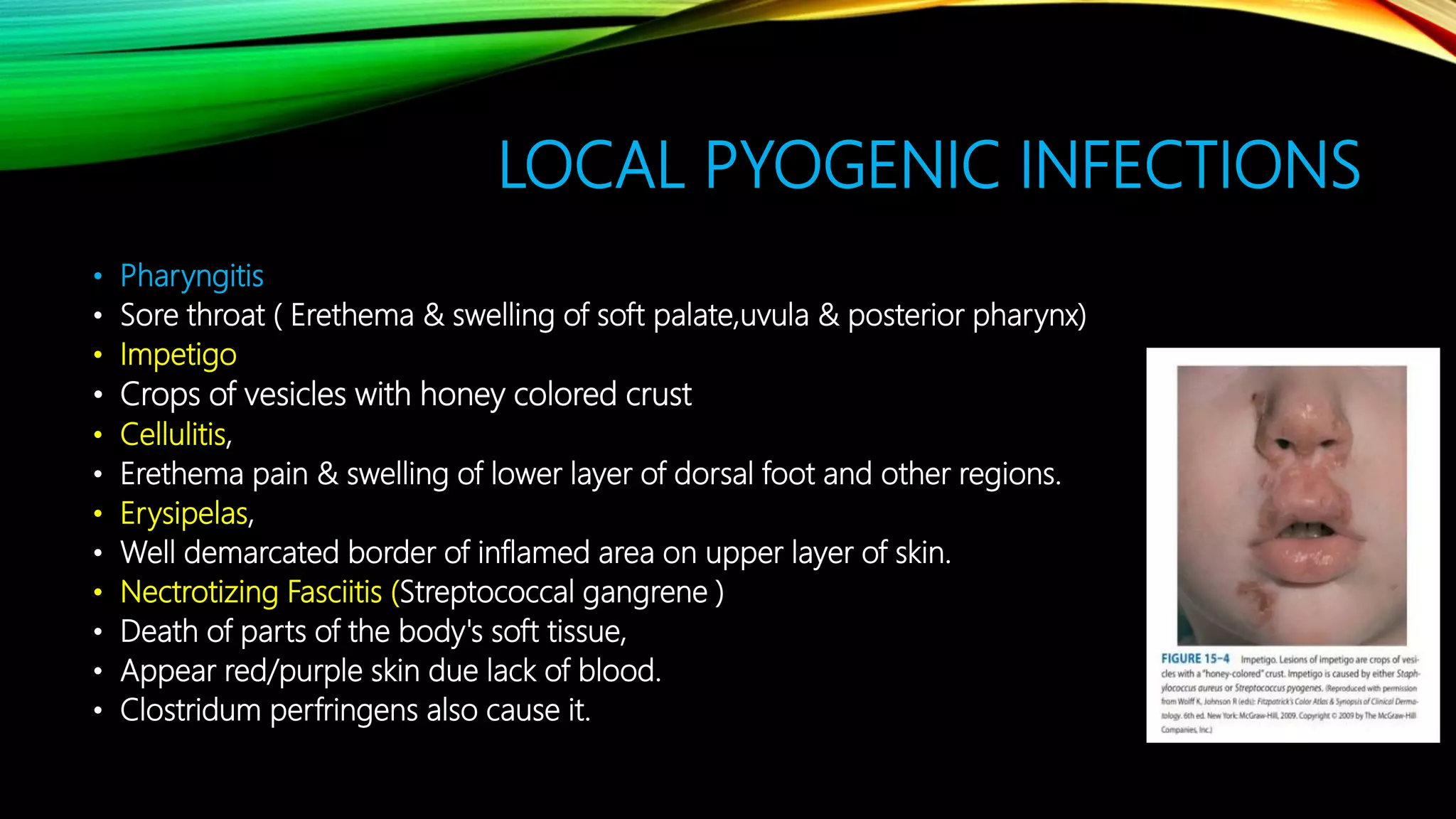 Streptococcus Pyogenes Bacteria Microbiology Lecture | PPTX