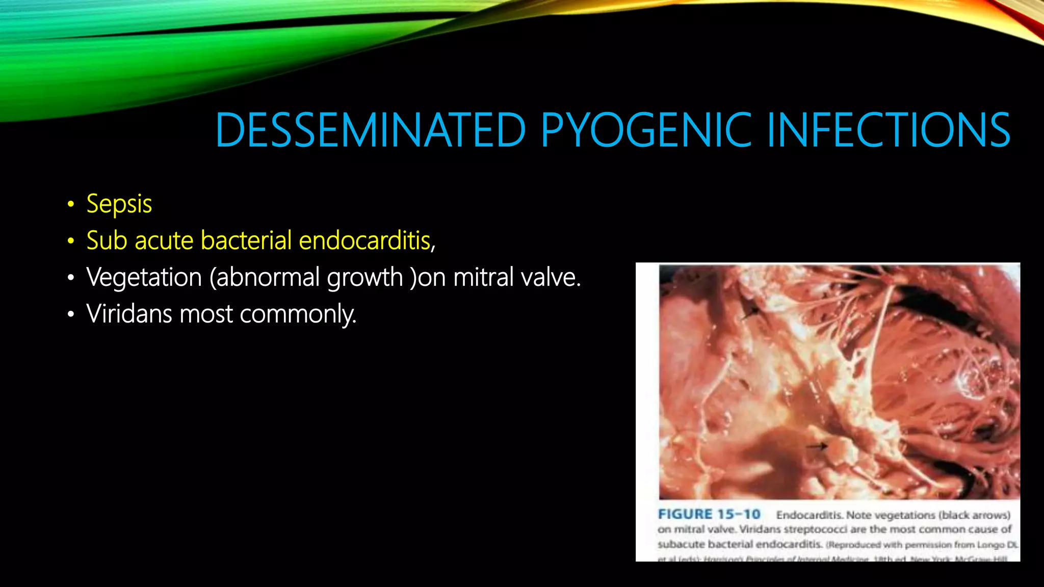 Streptococcus Pyogenes Bacteria Microbiology Lecture | PPTX