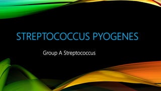 Streptococcus Pyogenes Bacteria Microbiology Lecture | PPTX