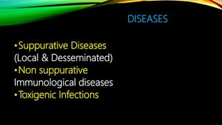 Streptococcus Pyogenes Bacteria Microbiology Lecture | PPTX