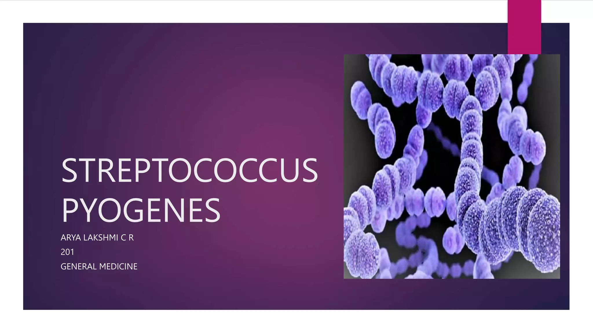 STREPTOCOCCUS PYOGENES.pptx