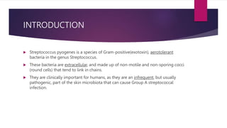 STREPTOCOCCUS PYOGENES.pptx