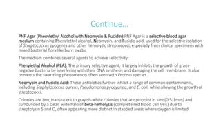 Streptococcus pathogenic species....pptx