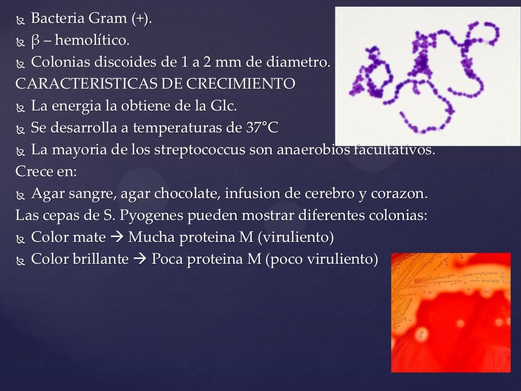 Streptococcus pyogenes
