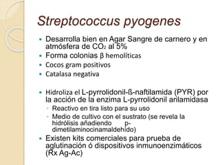 Streptococcus (pyogenes, neumo, agalact y entero) | PPTX