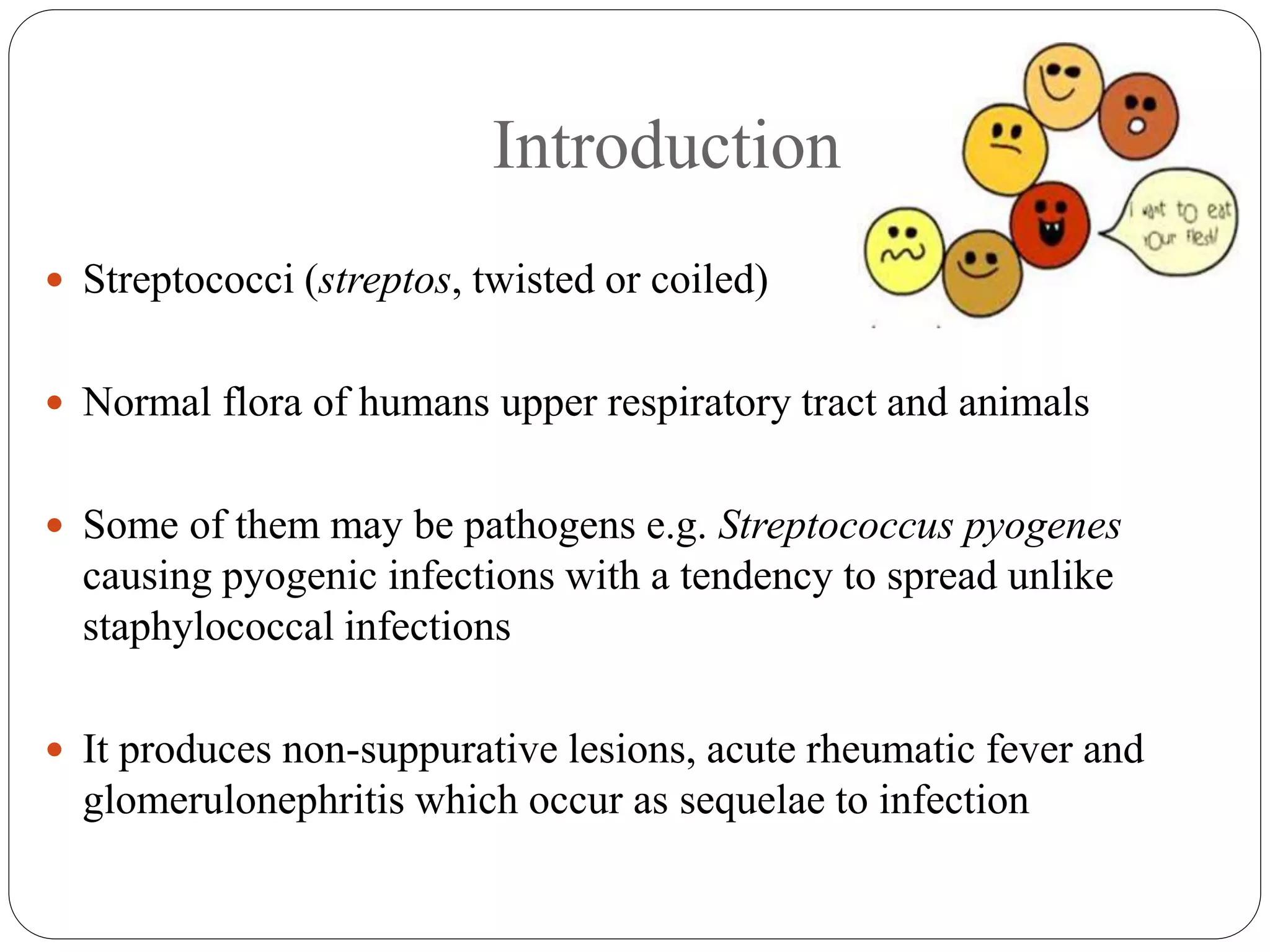 Streptococcus pyogens | PPTX