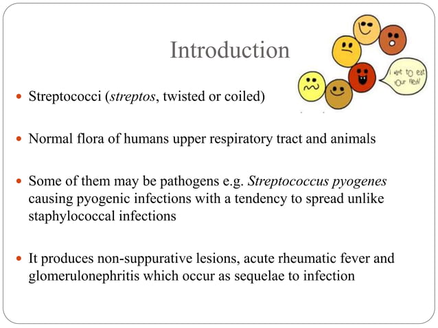 Streptococcus pyogens | PPTX | Infectious Diseases | Diseases and ...