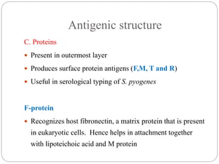 Streptococcus Pyogenes Slide