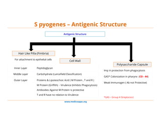 Streptococcus pyogens | PDF