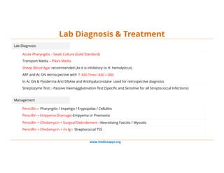 Streptococcus pyogens | PDF