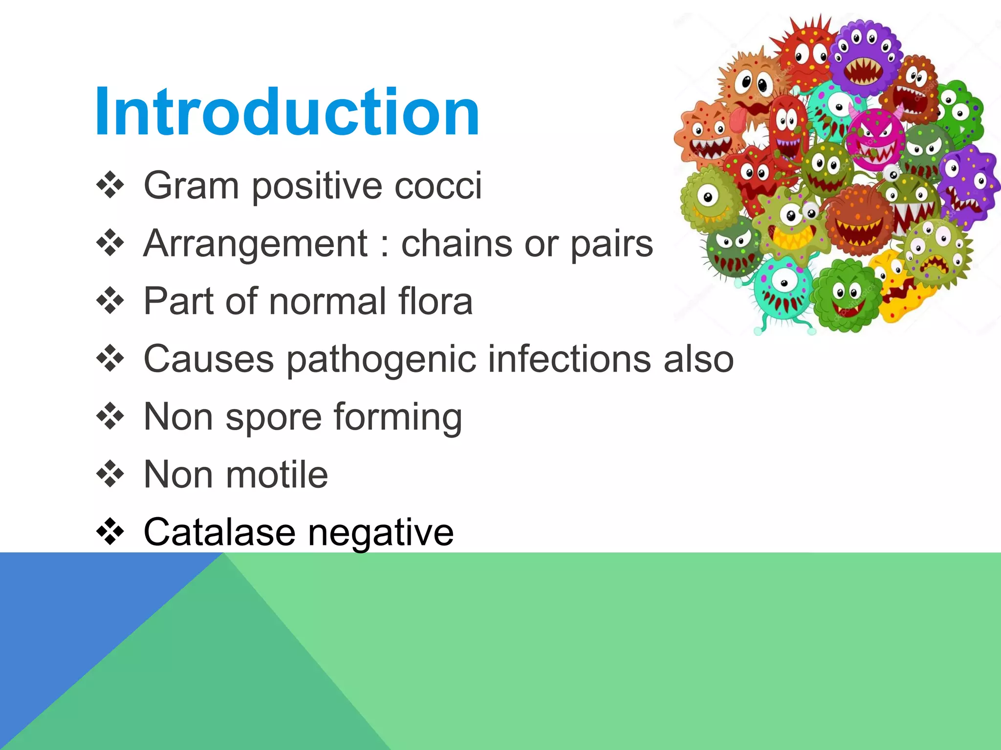 Streptococcus species.pdf